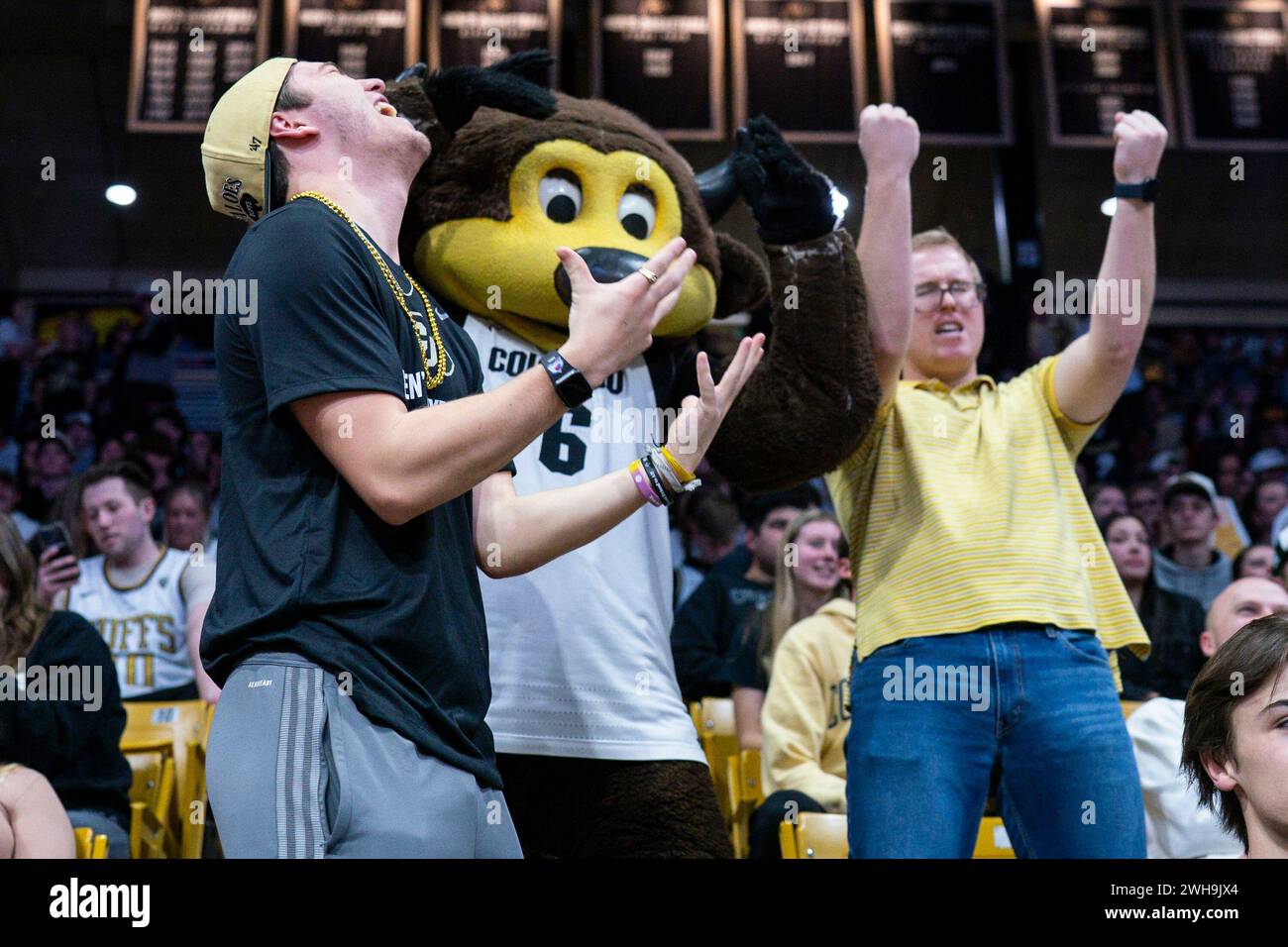Boulder, CO, USA. 8th Feb, 2024. Colorado fans have fun with Chip the ...