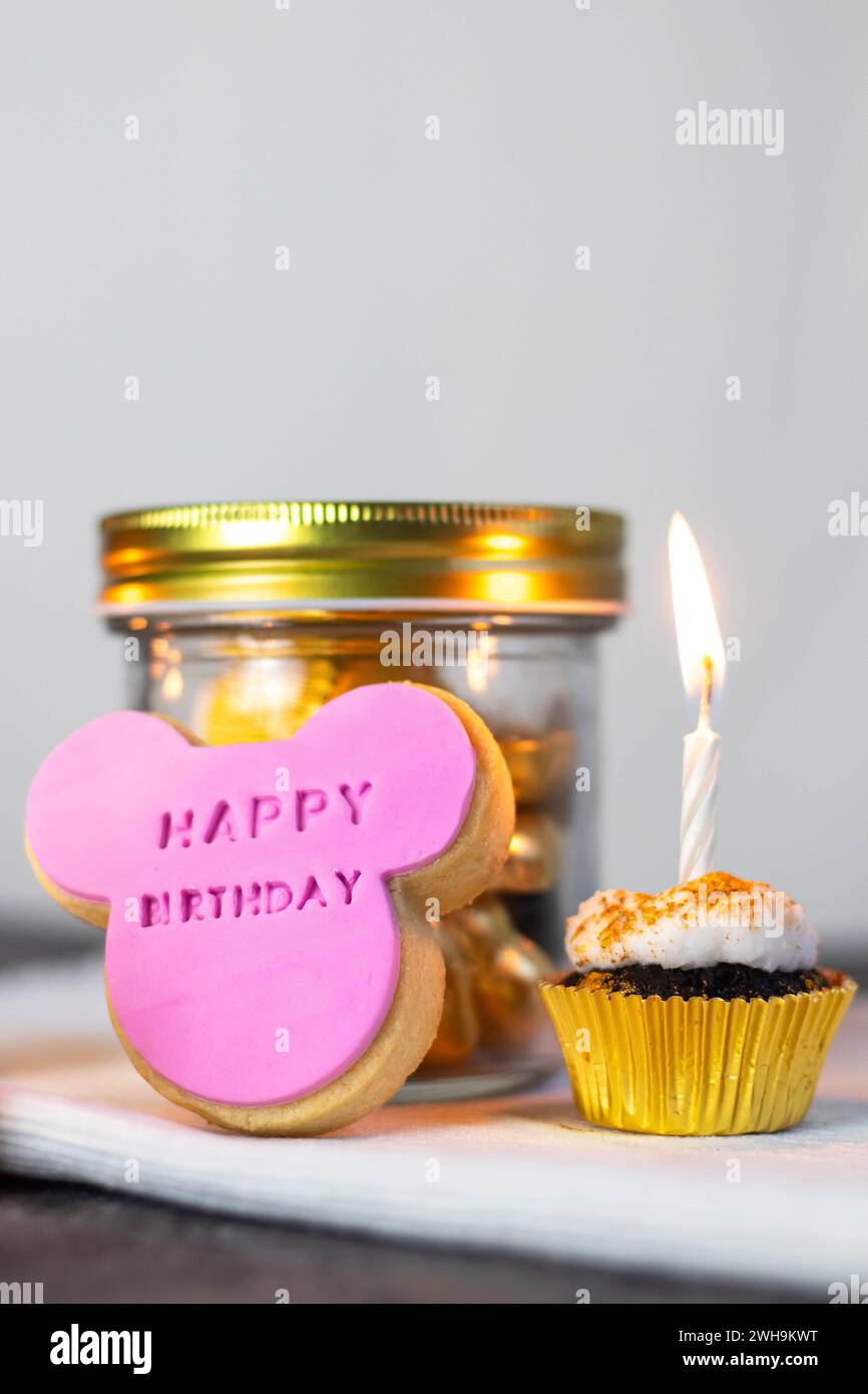 Happy birthday mouse hi-res stock photography and images - Alamy