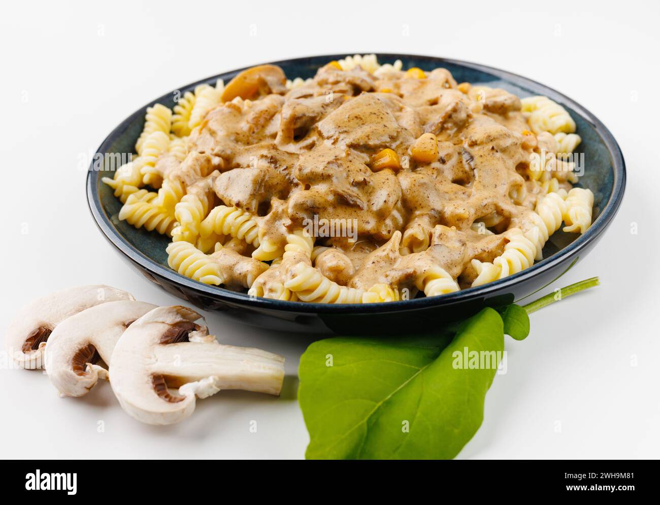 pasta with meat and mushroom sauce on a plate on a white background ...