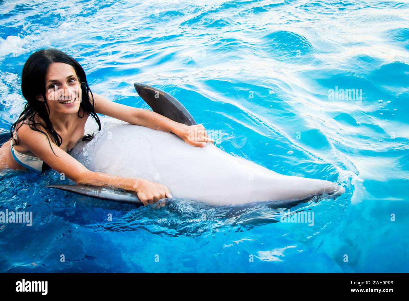 Caucasian woman swim with dolphin in pool. Batumi swim with dolphin ...