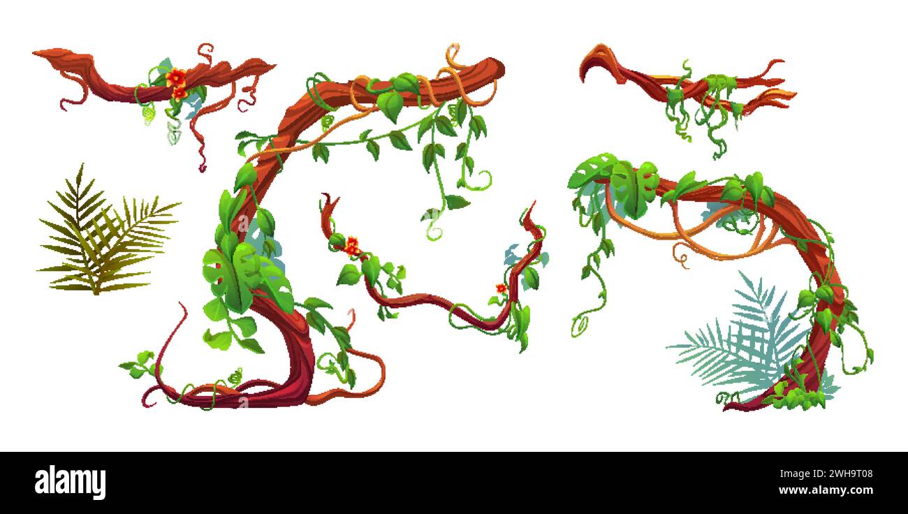 Set of liana branches with green leaves and flowers isolated on white ...