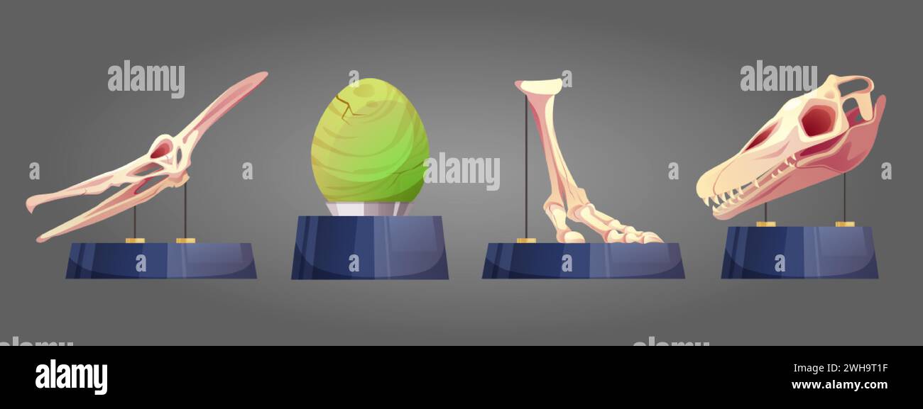Historical archaeological museum exhibit elements on stand. Cartoon ...