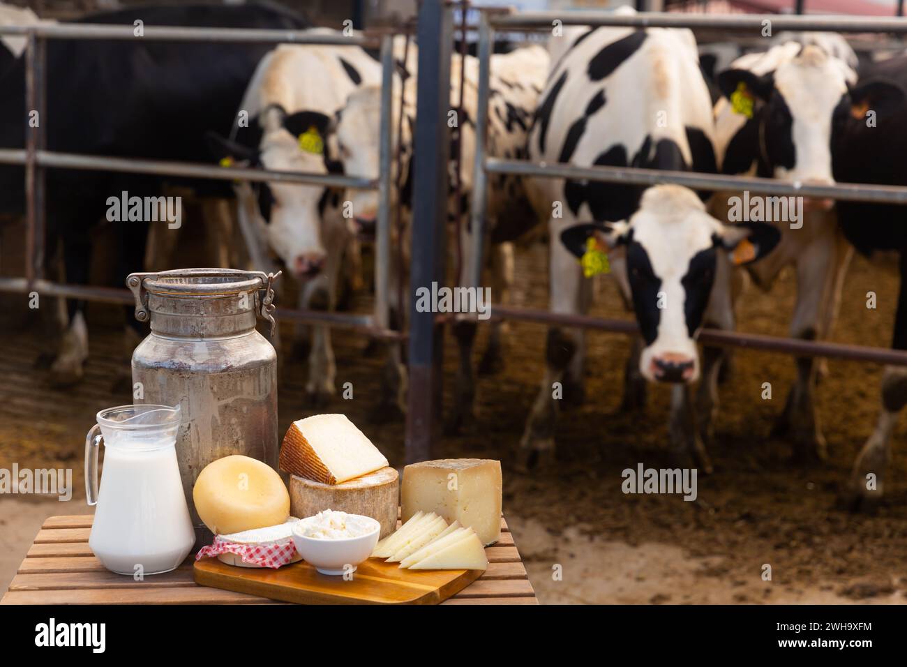 Image of dairy products on the farm Stock Photo - Alamy