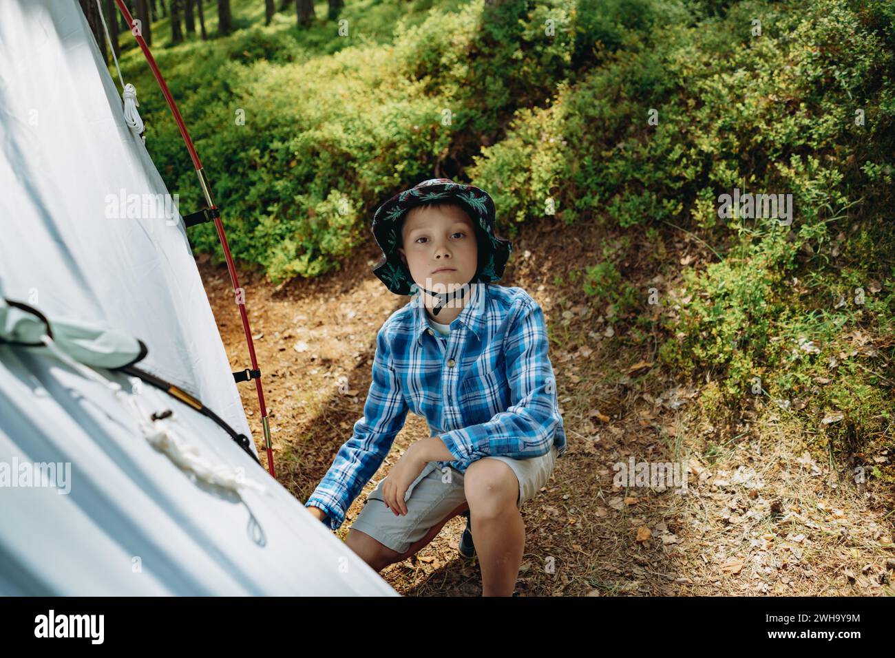 cute caucasian boy putting up a tent. Family camping concept Stock Photo - Alamy