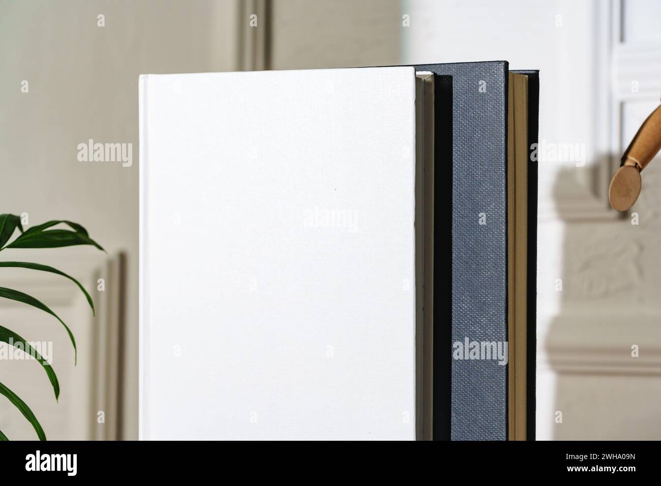 Two books stand vertically against the wall Stock Photo - Alamy