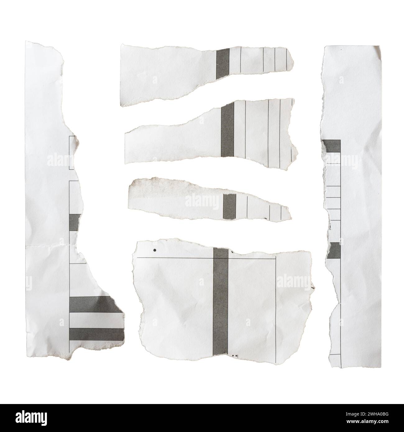 Torn form document papers on white background with clipping path Stock ...