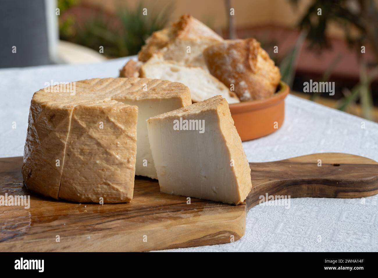 Cheese collection, piece of round fresh smoked Spanish goat cheese ...