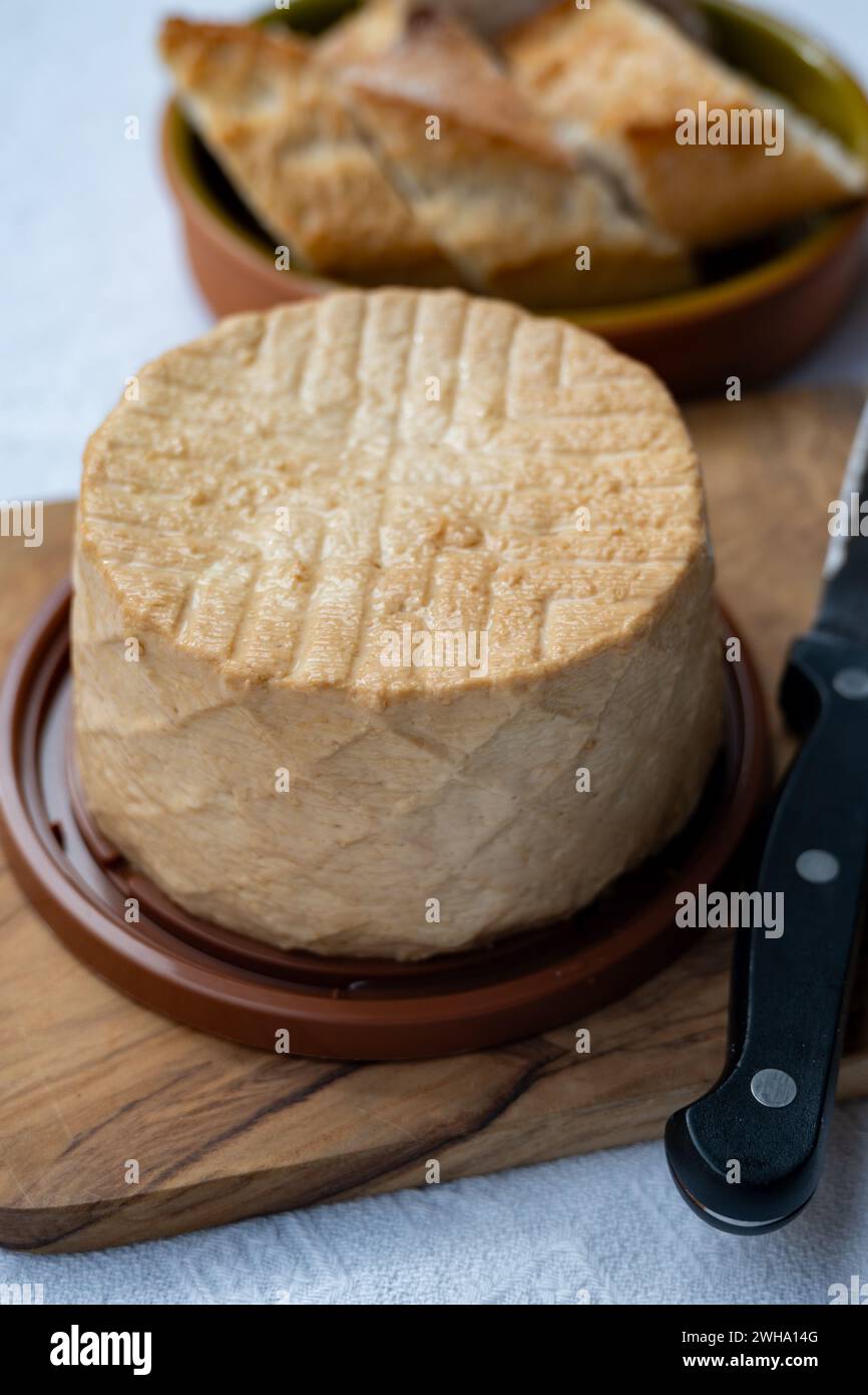 Cheese collection, piece of round fresh smoked Spanish goat cheese ...