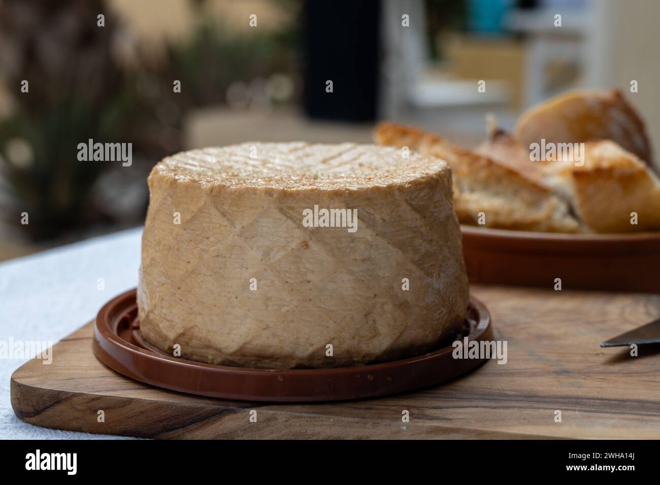 Cheese collection, piece of round fresh smoked Spanish goat cheese ...
