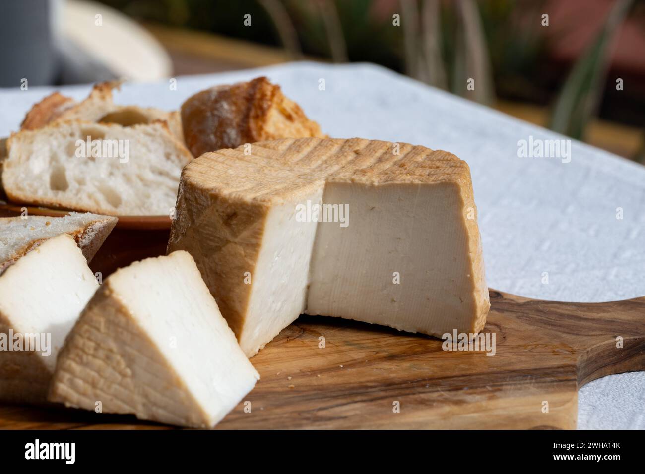 Cheese collection, piece of round fresh smoked Spanish goat cheese ...
