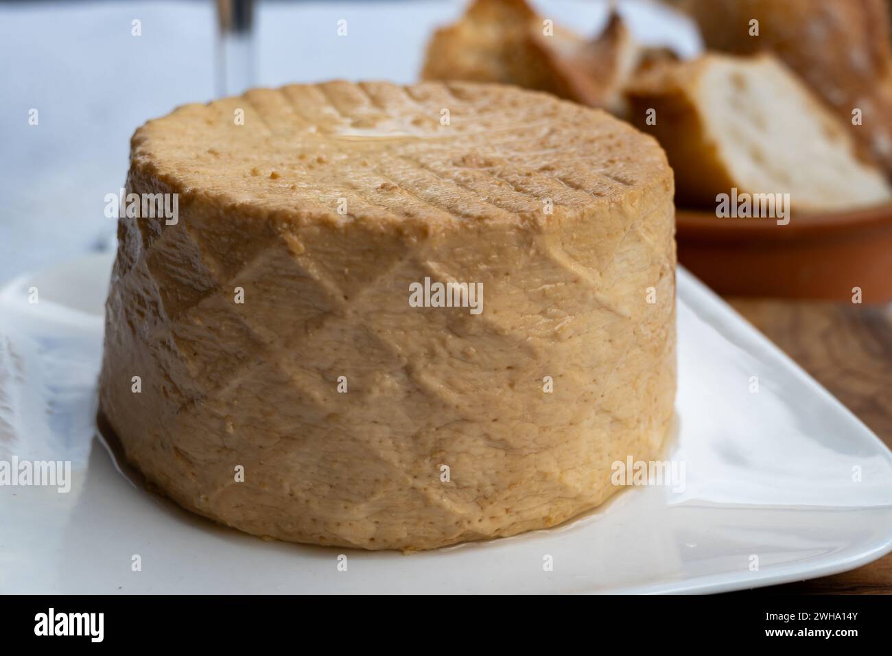 Cheese collection, piece of round fresh smoked Spanish goat cheese ...
