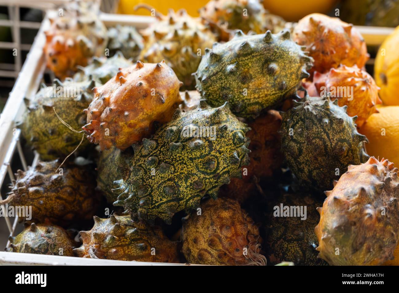 Kiwano tropical fruits, African horned cucumber, horned melon, spiked ...