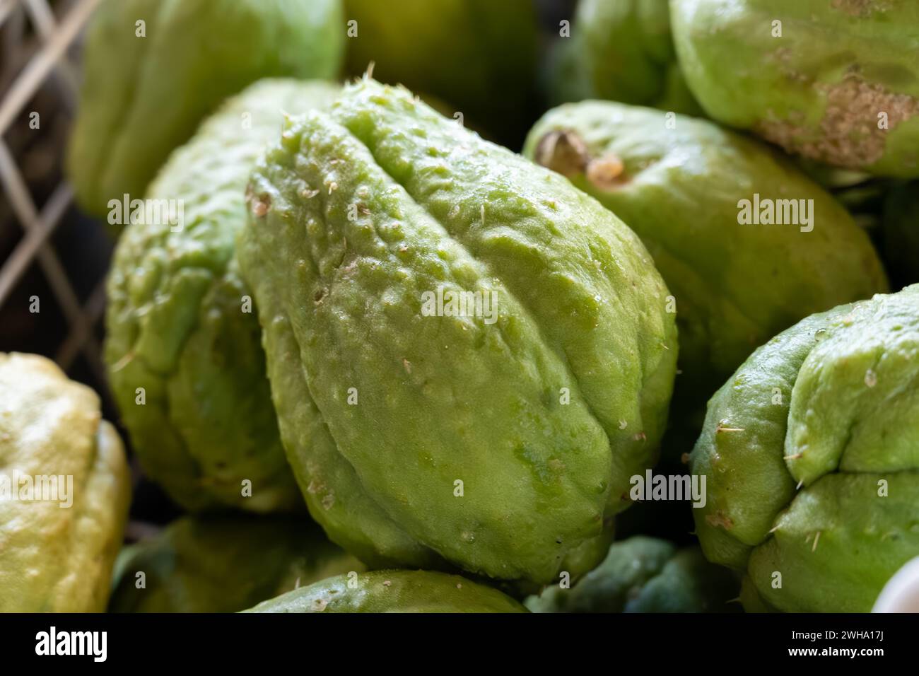 Green ripe Chayote Sechium edule fruit, mirliton and choko, gourd ...