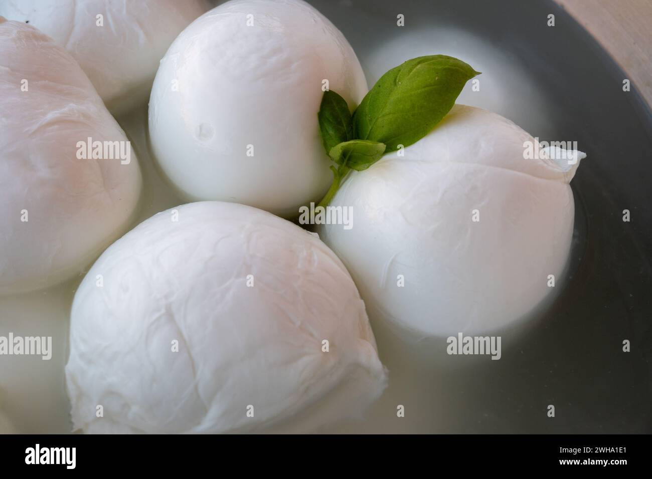 Cheese collection, many fresh white balls of soft Italian cheese ...