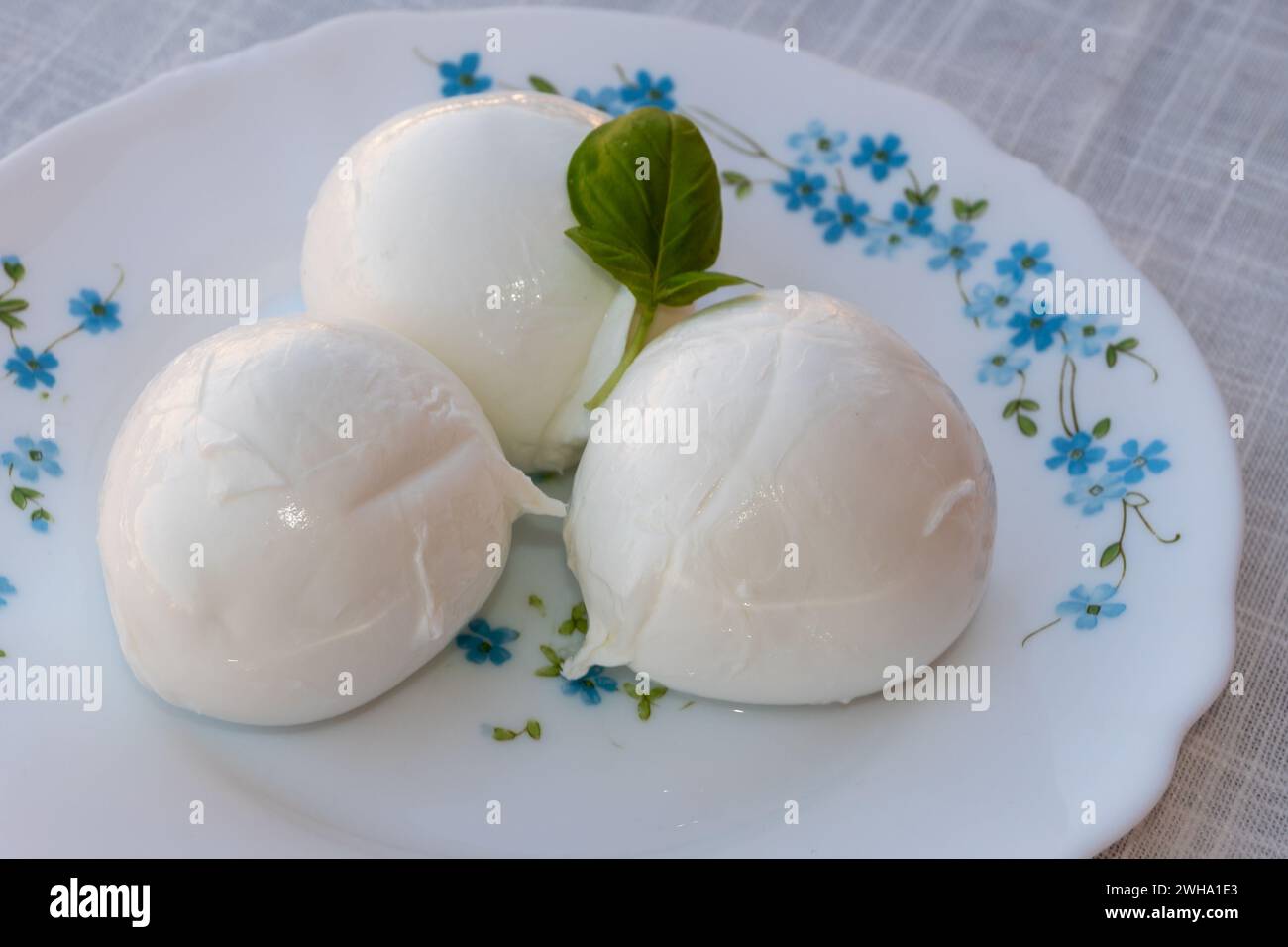 Cheese collection, white balls of soft Italian cheese mozzarella ...