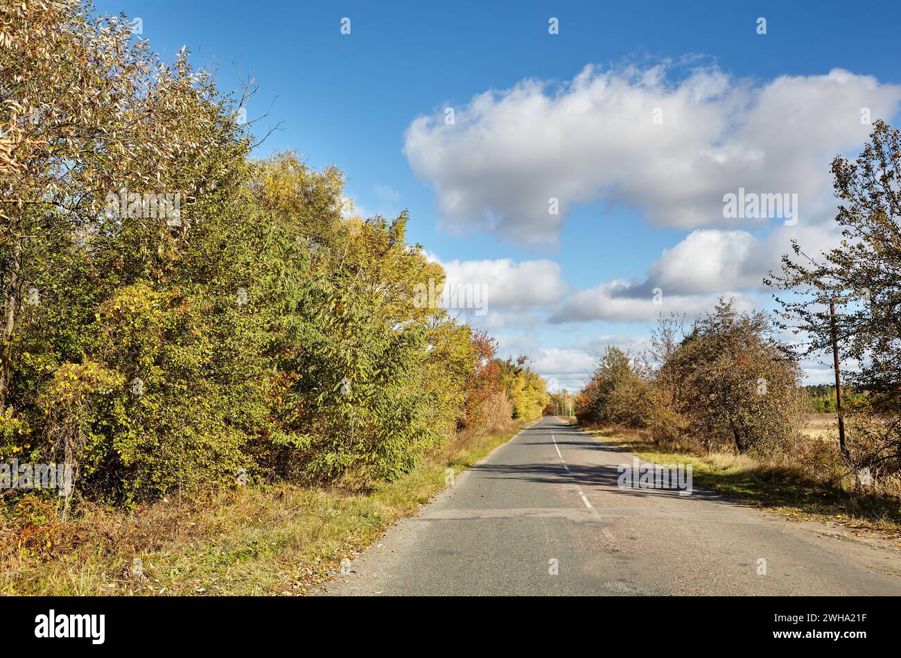 Asphalt country road near trees. Suburban road at rural Europe Stock ...