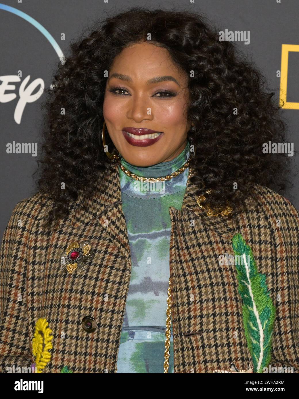 Hollywood, California, USA. 08th Feb, 2024. Angela Bassett. Los Angeles ...
