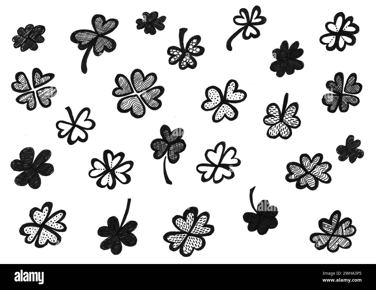 Set of clovers in doodle style. Black color on a white background ...