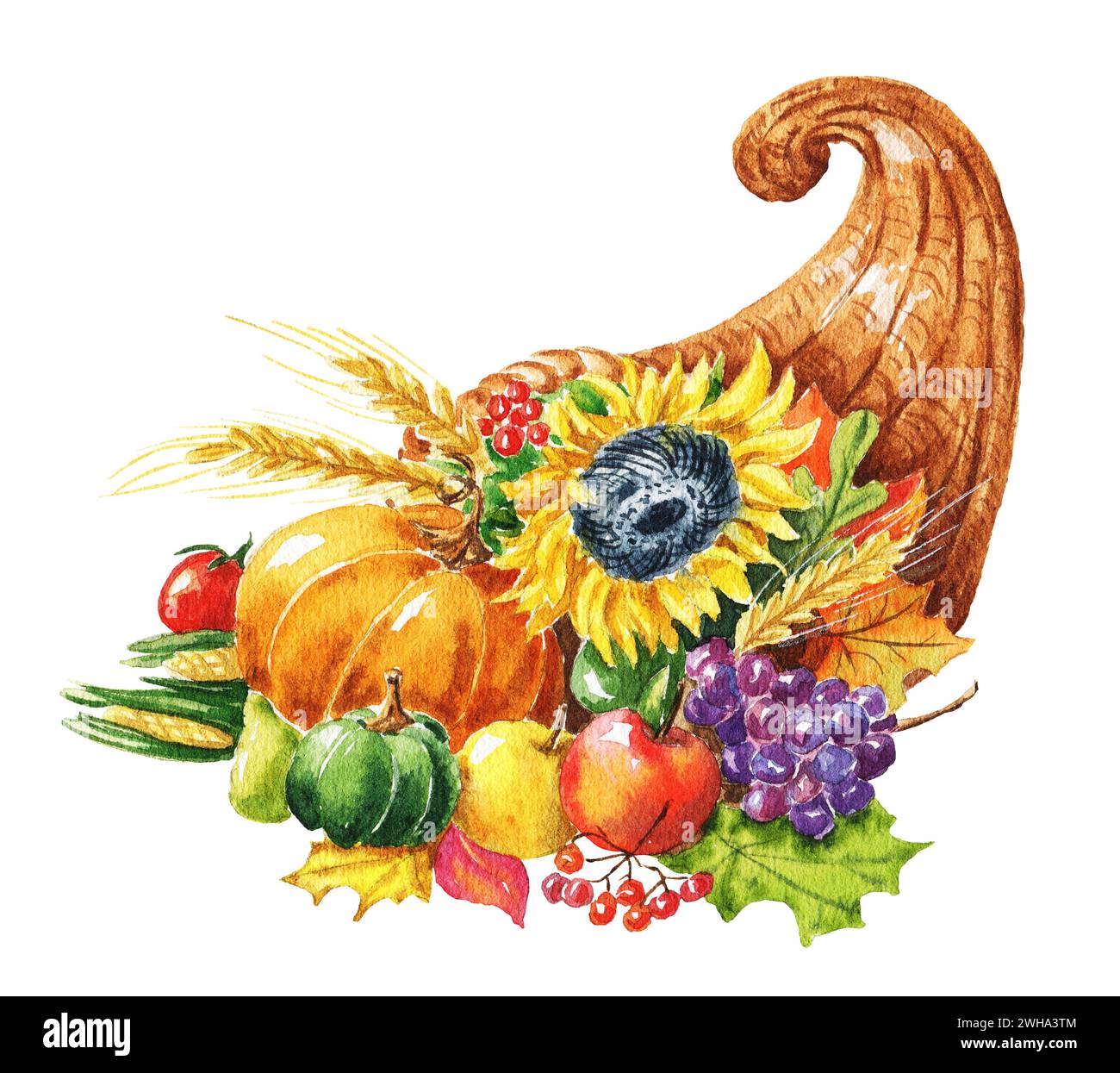 Hand drawn watercolor cornucopia with fall season harvest, pumpkin ...