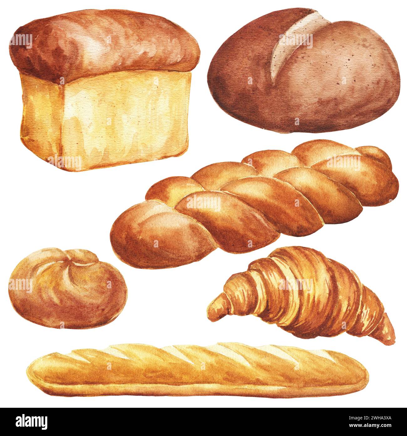 Baguette watercolor painting hi-res stock photography and images - Alamy