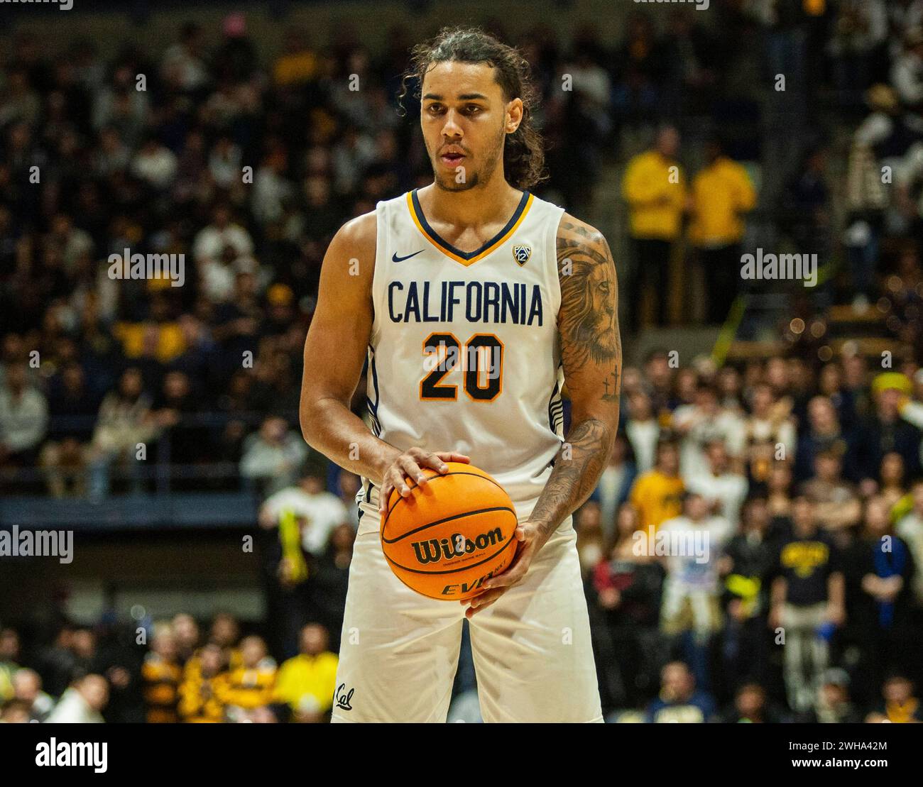 2024 0803 jpg hi-res stock photography and images - Alamy