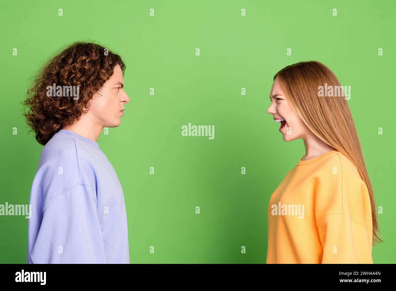 Profile photo of unsatisfied negative people look each other scream ...
