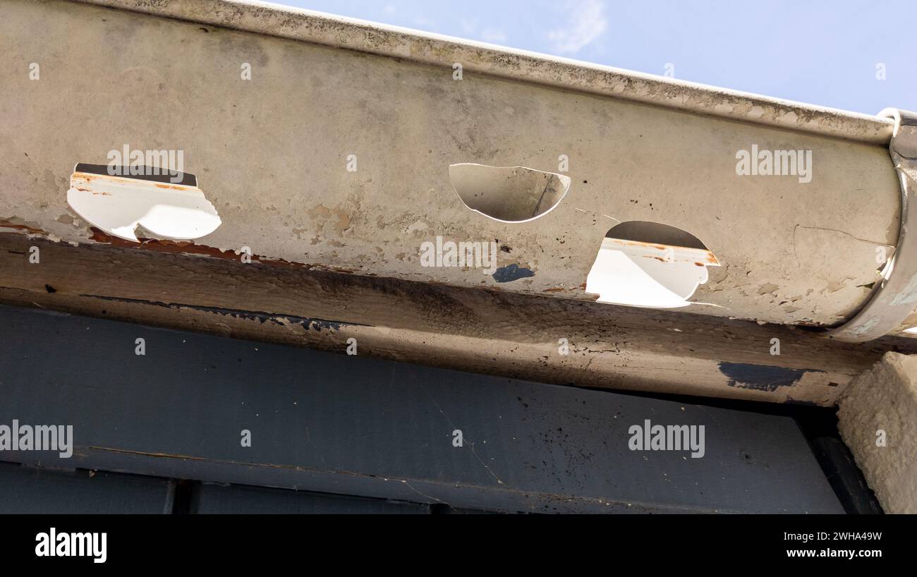 Broken gutter after a hail storm with holes and impact of large ...