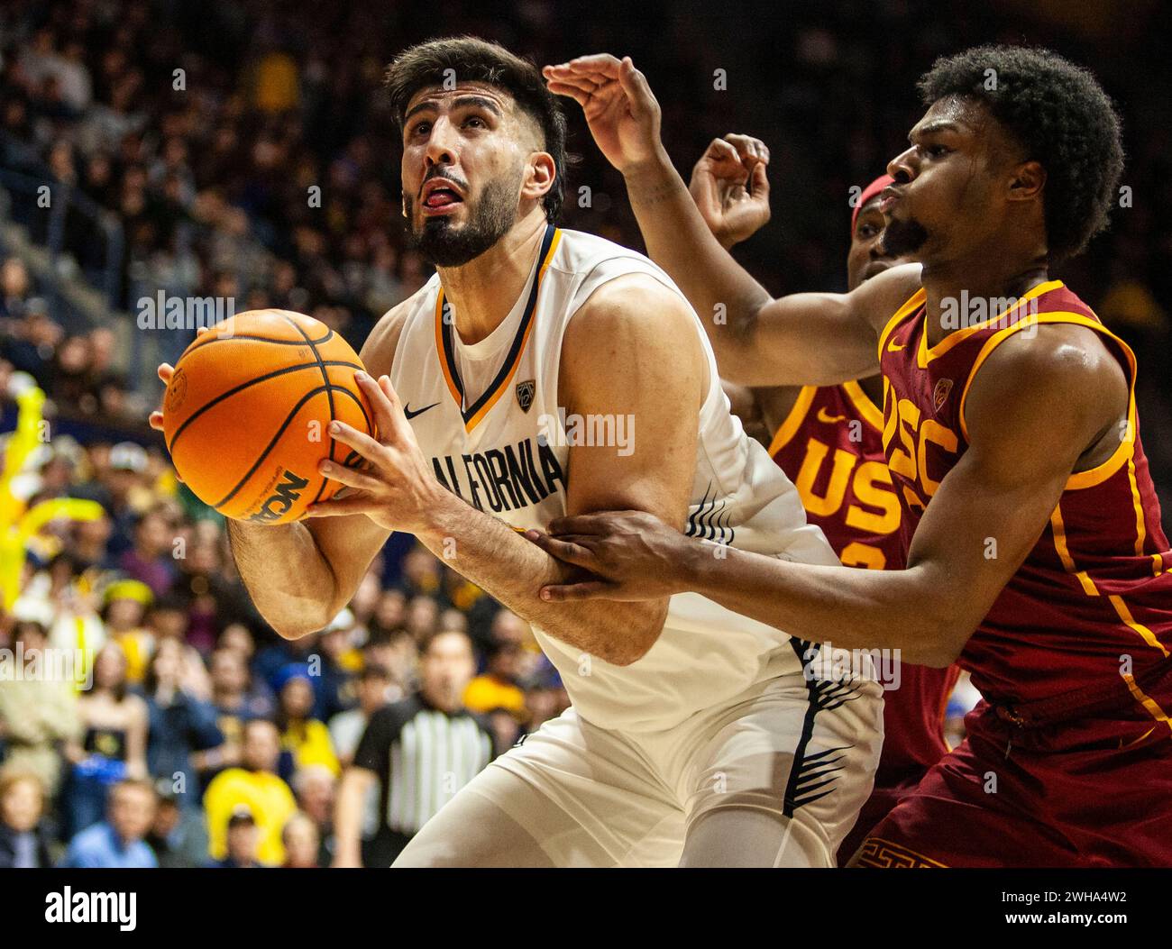 Haas Pavilion. 07th Feb, 2024. CA U.S.A. California forward Fardaws ...