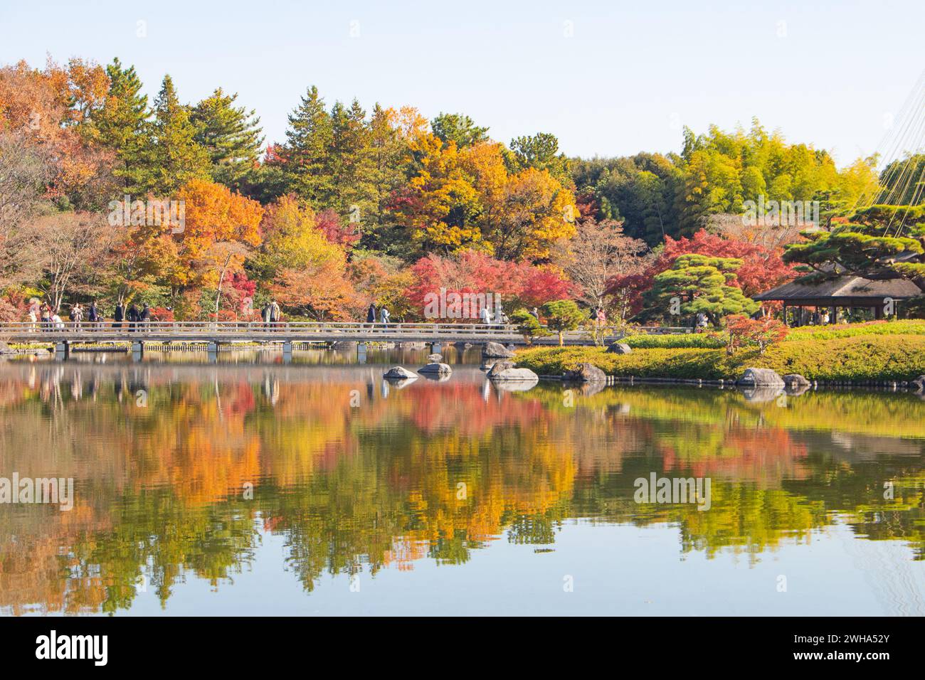 Panoramic Autumn view at the Japanese Garden of Showa Kinen Koen or ...