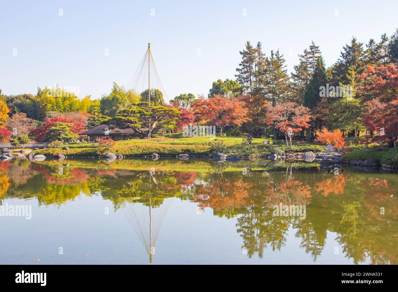 Panoramic Autumn view at the Japanese Garden of Showa Kinen Koen or ...