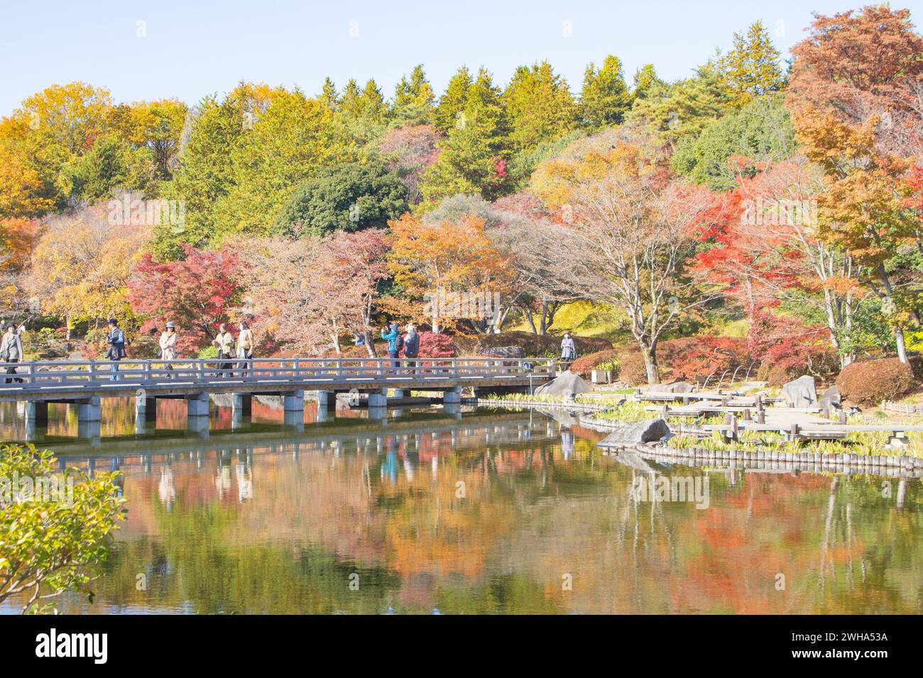 Panoramic Autumn view at the Japanese Garden of Showa Kinen Koen or ...