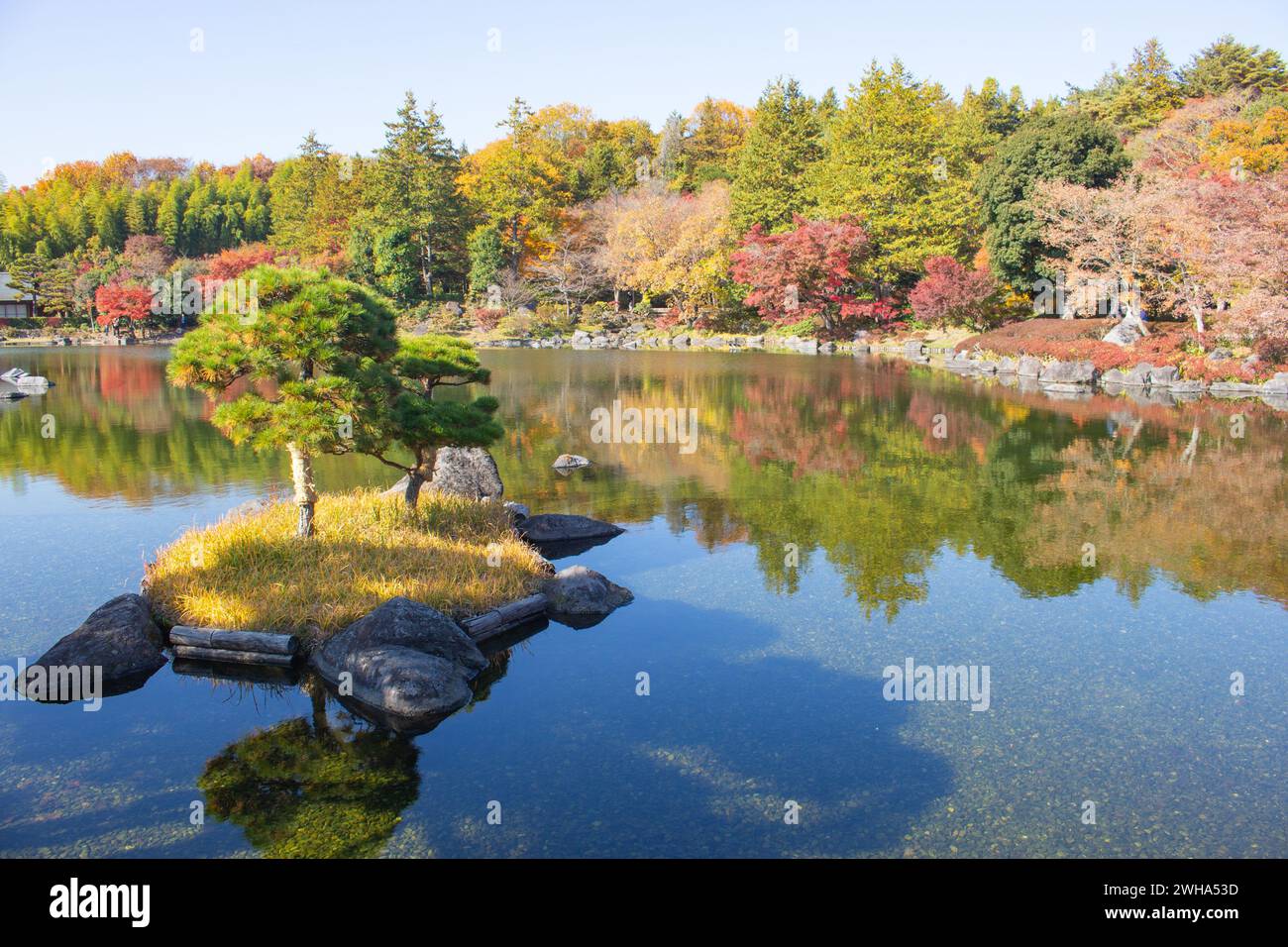 Showa koen hi-res stock photography and images - Alamy