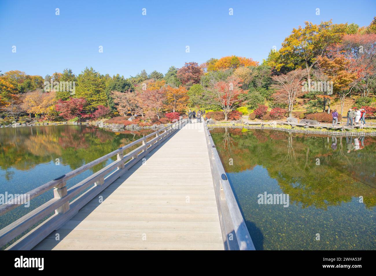 Panoramic Autumn view at the Japanese Garden of Showa Kinen Koen or ...