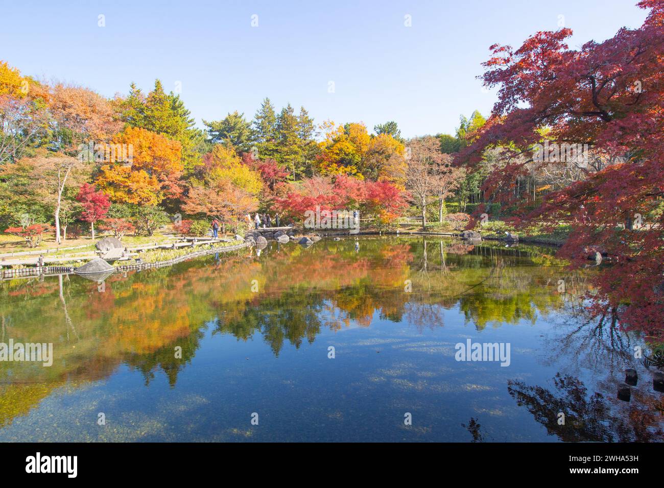 Showa koen hi-res stock photography and images - Alamy