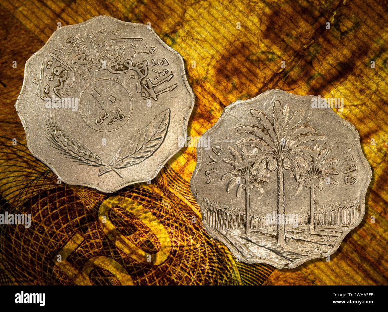 A close-up of an Iraqi dinar coin Stock Photo - Alamy