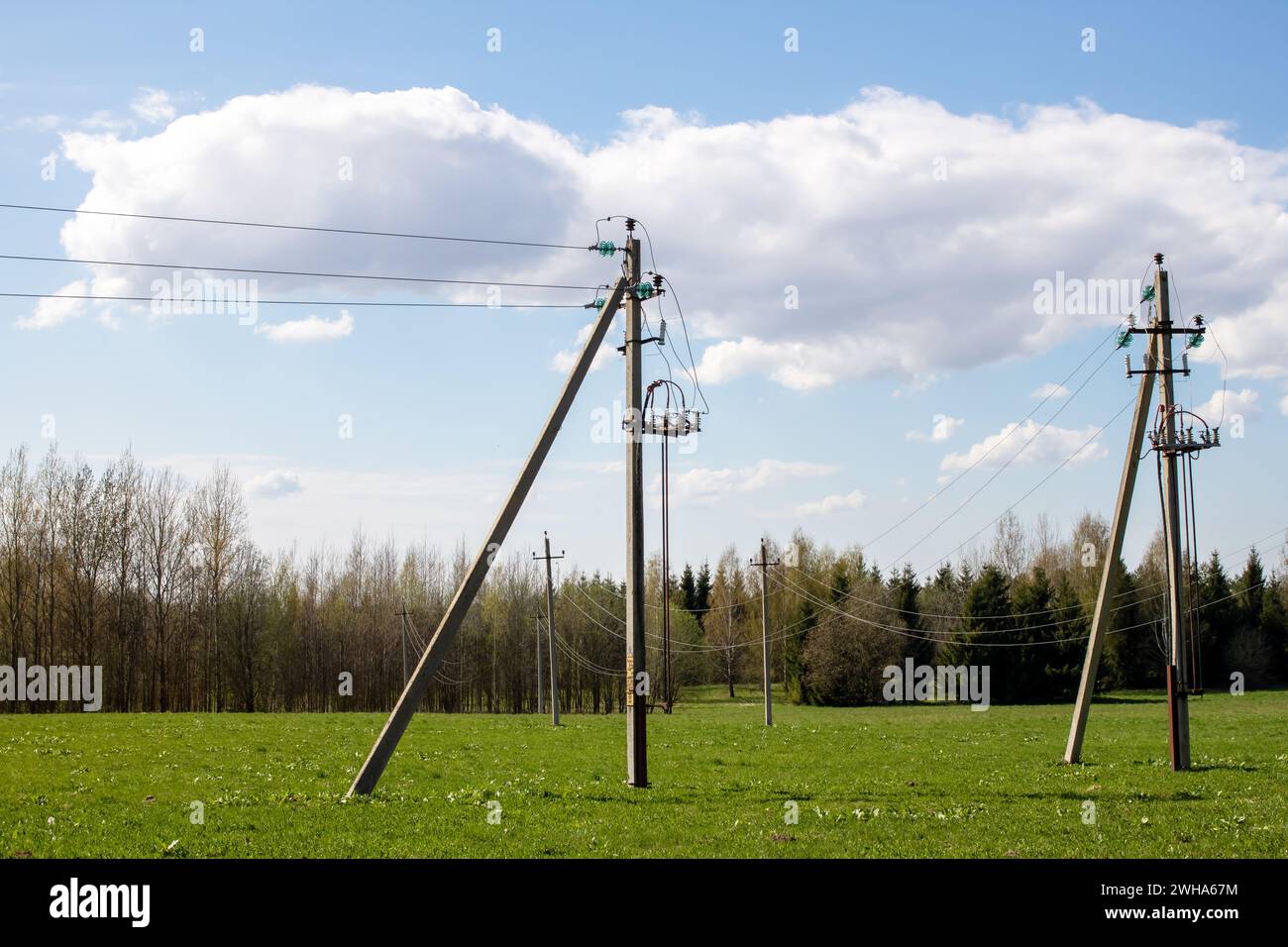 Poles with electrical wires in a green field close up Stock Photo - Alamy