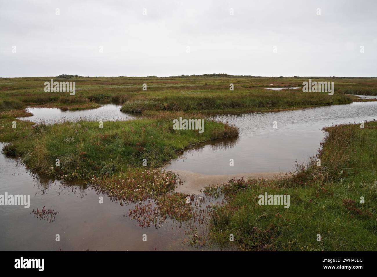Borkum autumn hi-res stock photography and images - Alamy