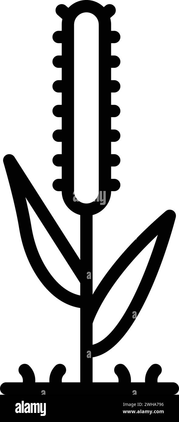 Icon for timothy,grass Stock Vector Image & Art - Alamy