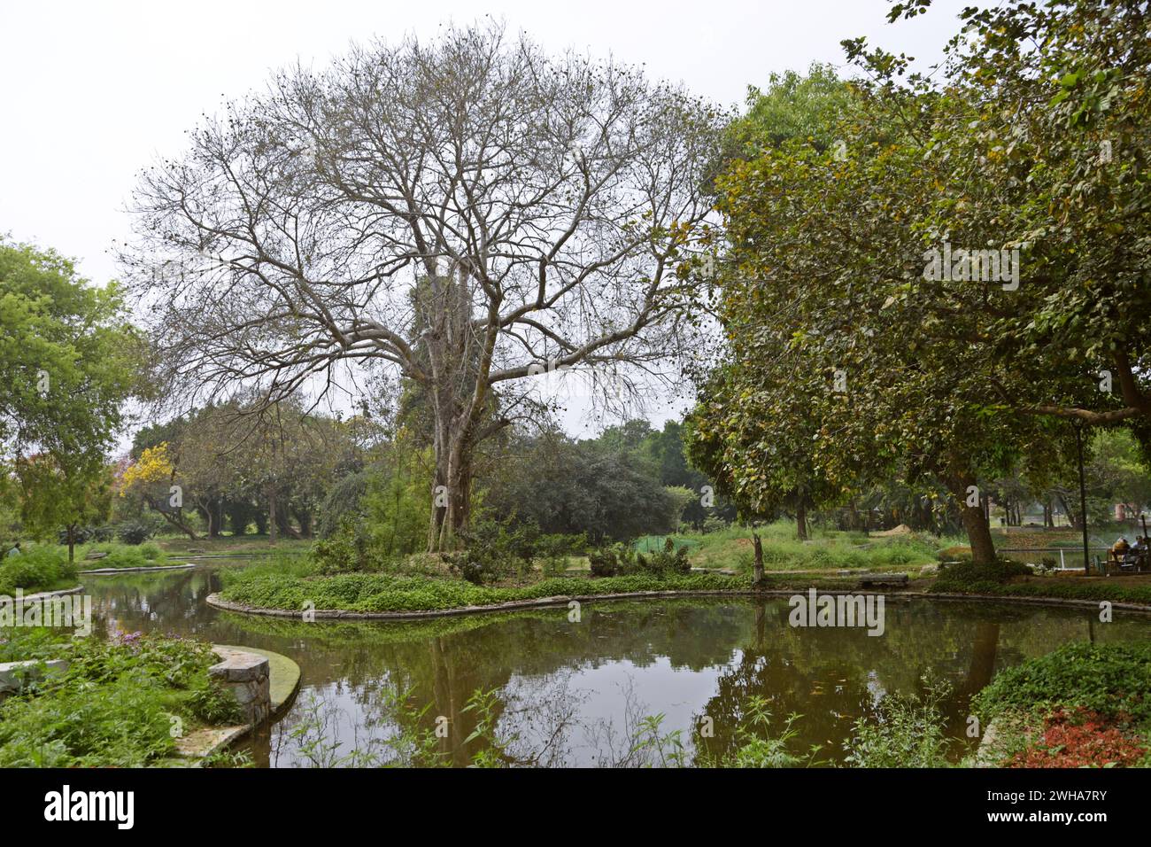 Sunder park delhi hi-res stock photography and images - Alamy