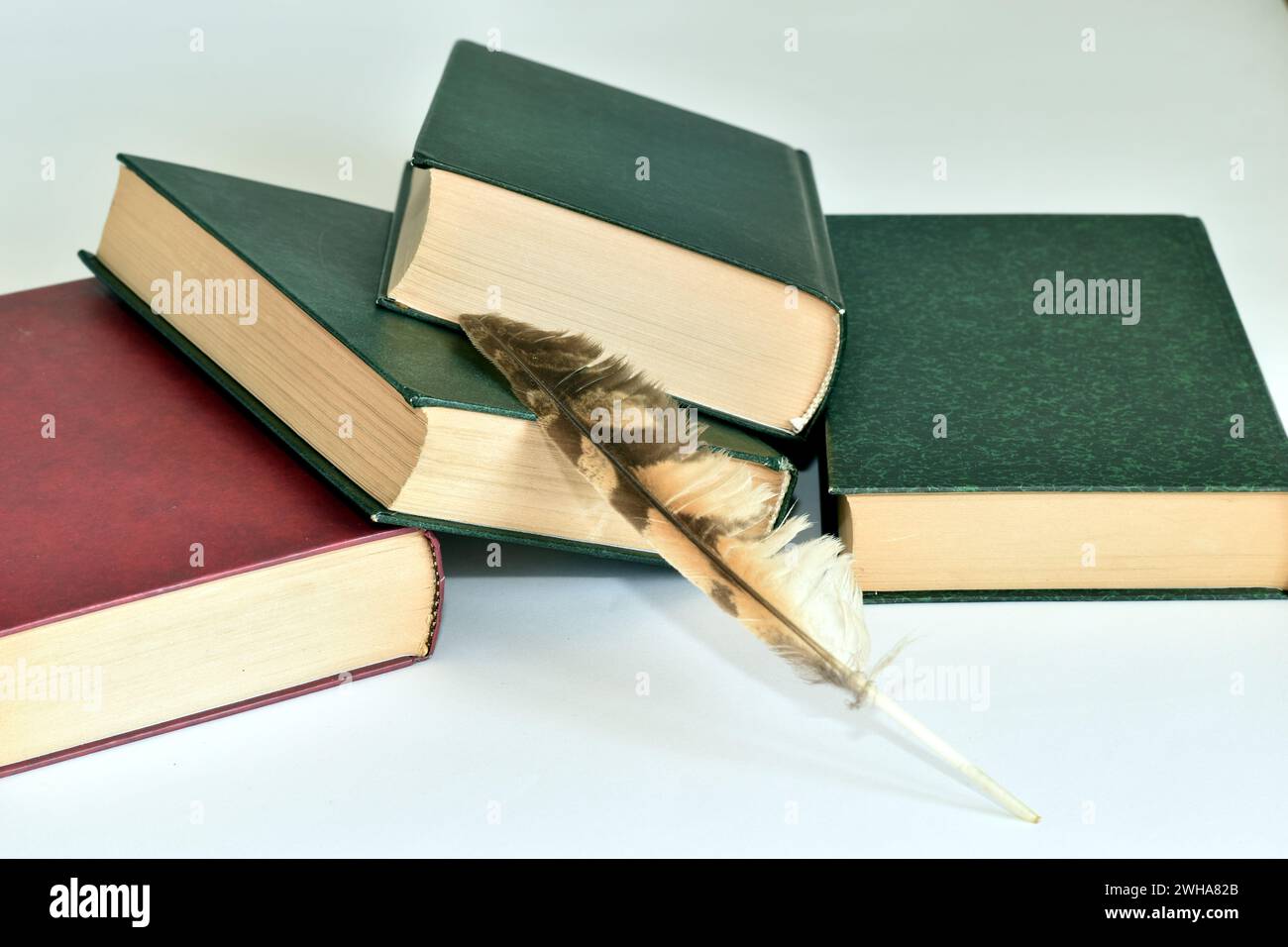 The photo shows a bird feather, which was once used to write voluminous ...
