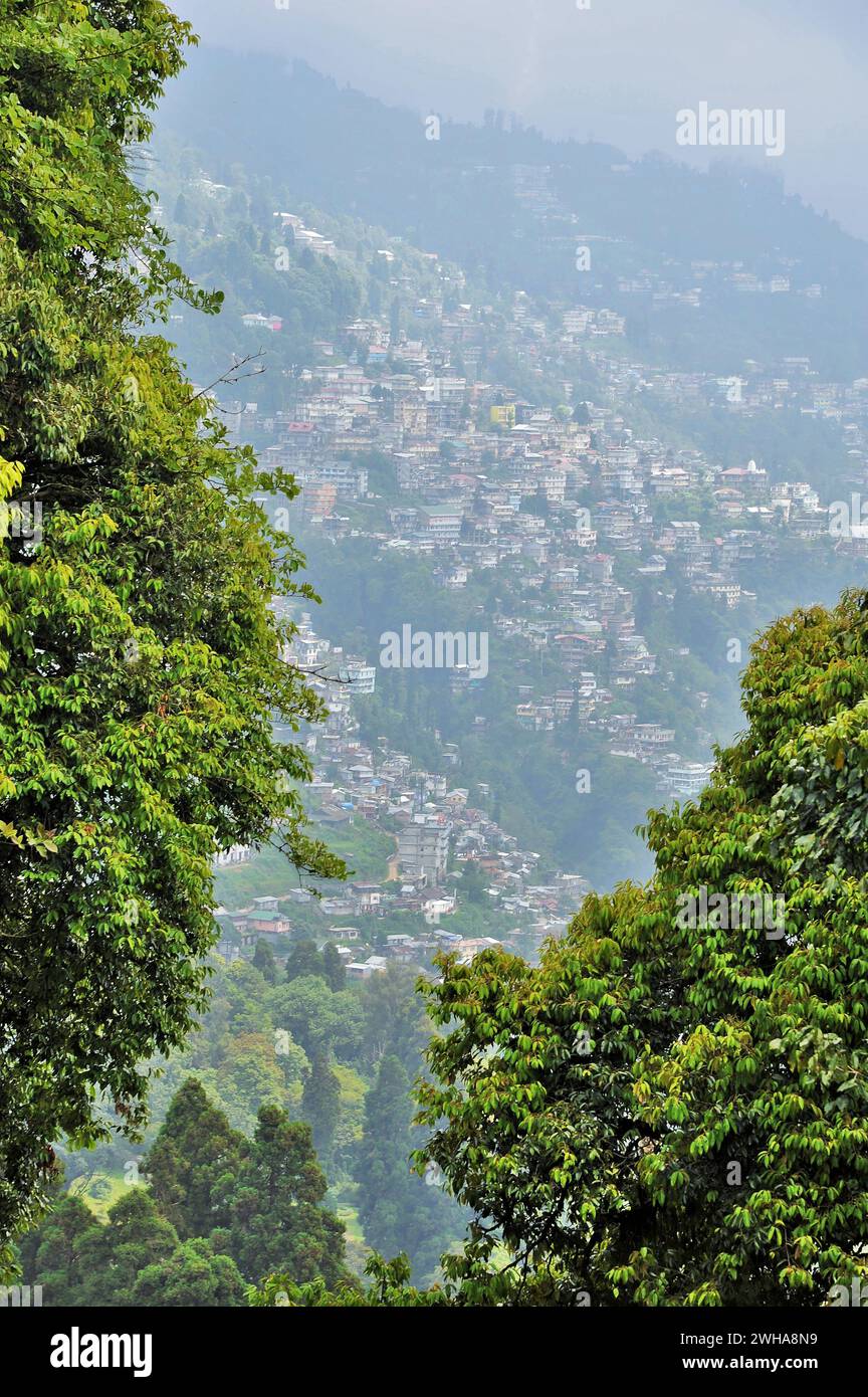 Hill Station, Mall Road, Chowrasta, Darjeeling, West Bengal, India ...