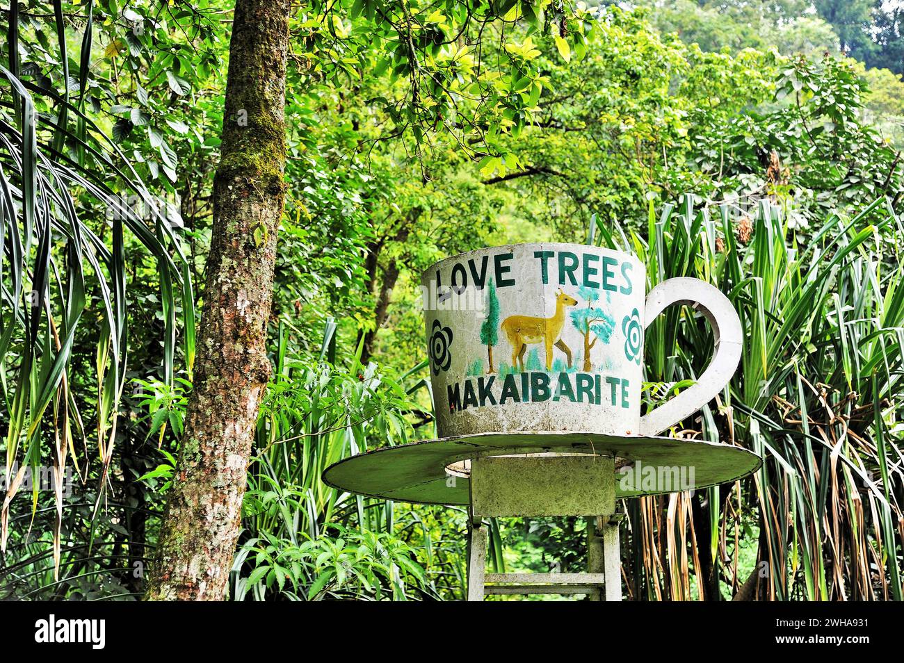 Cup and saucer sculpture, Makaibari Tea Estate, Kurseong, Darjeeling ...