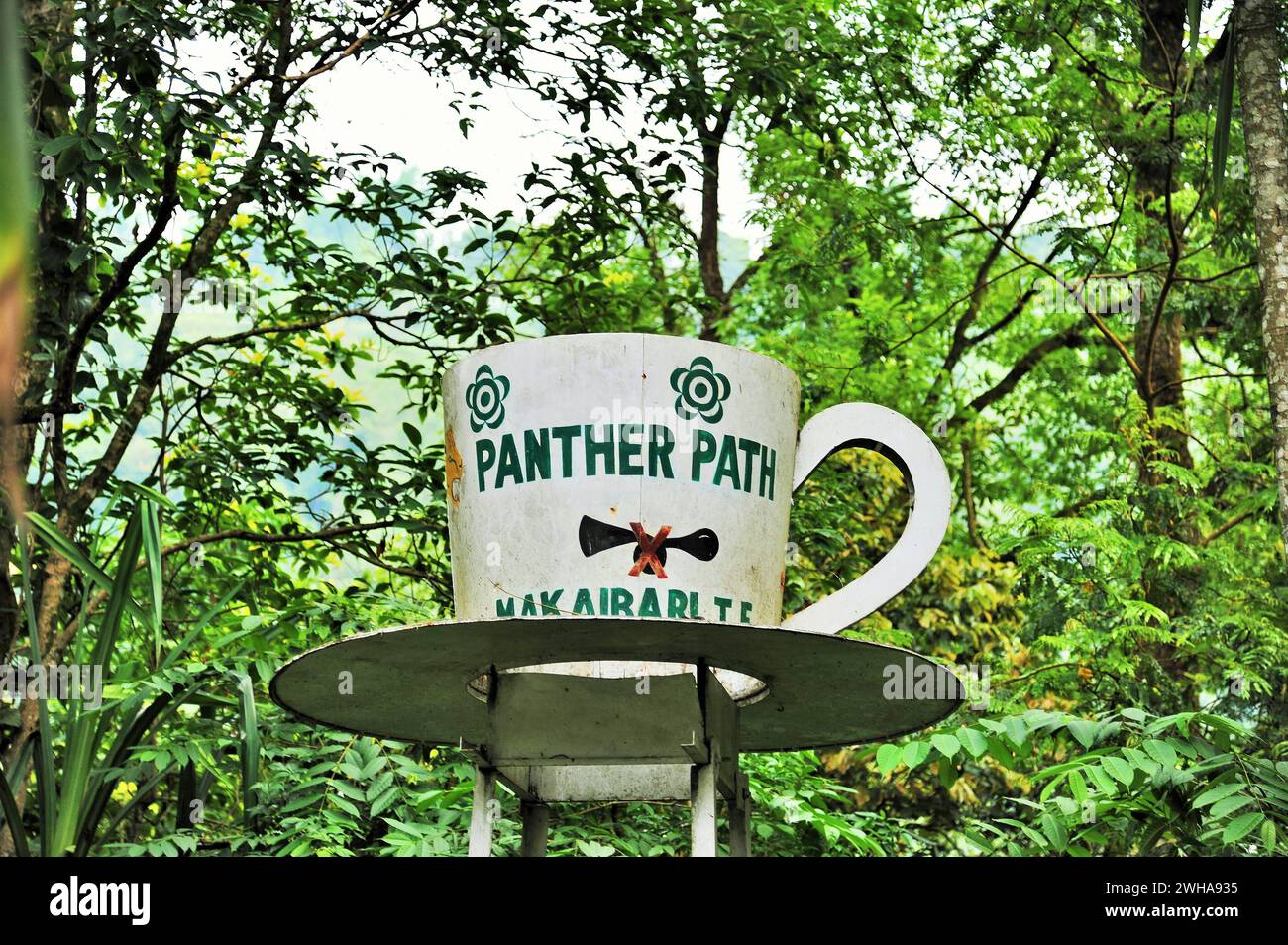 Cup and saucer sculpture, Makaibari Tea Estate, Kurseong, Darjeeling ...