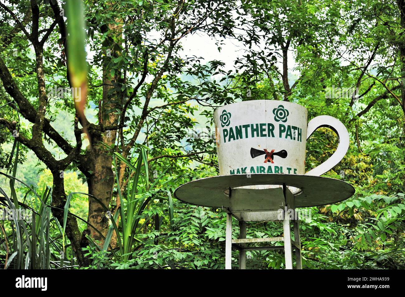 Cup and saucer sculpture, Makaibari Tea Estate, Kurseong, Darjeeling ...
