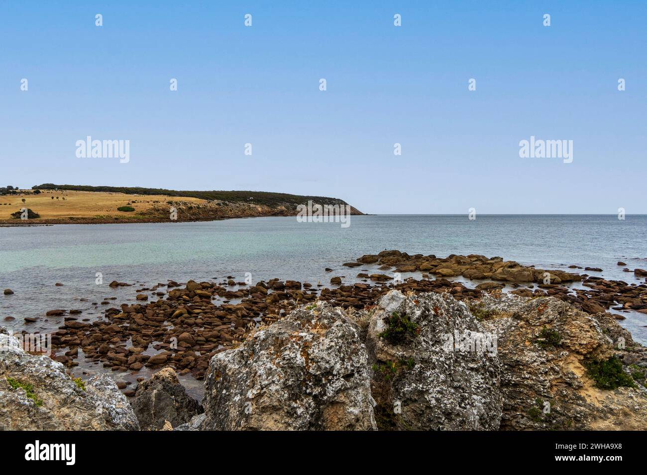Stokes Bay Beach, Kangaroo Island, South Australia Stock Photo - Alamy