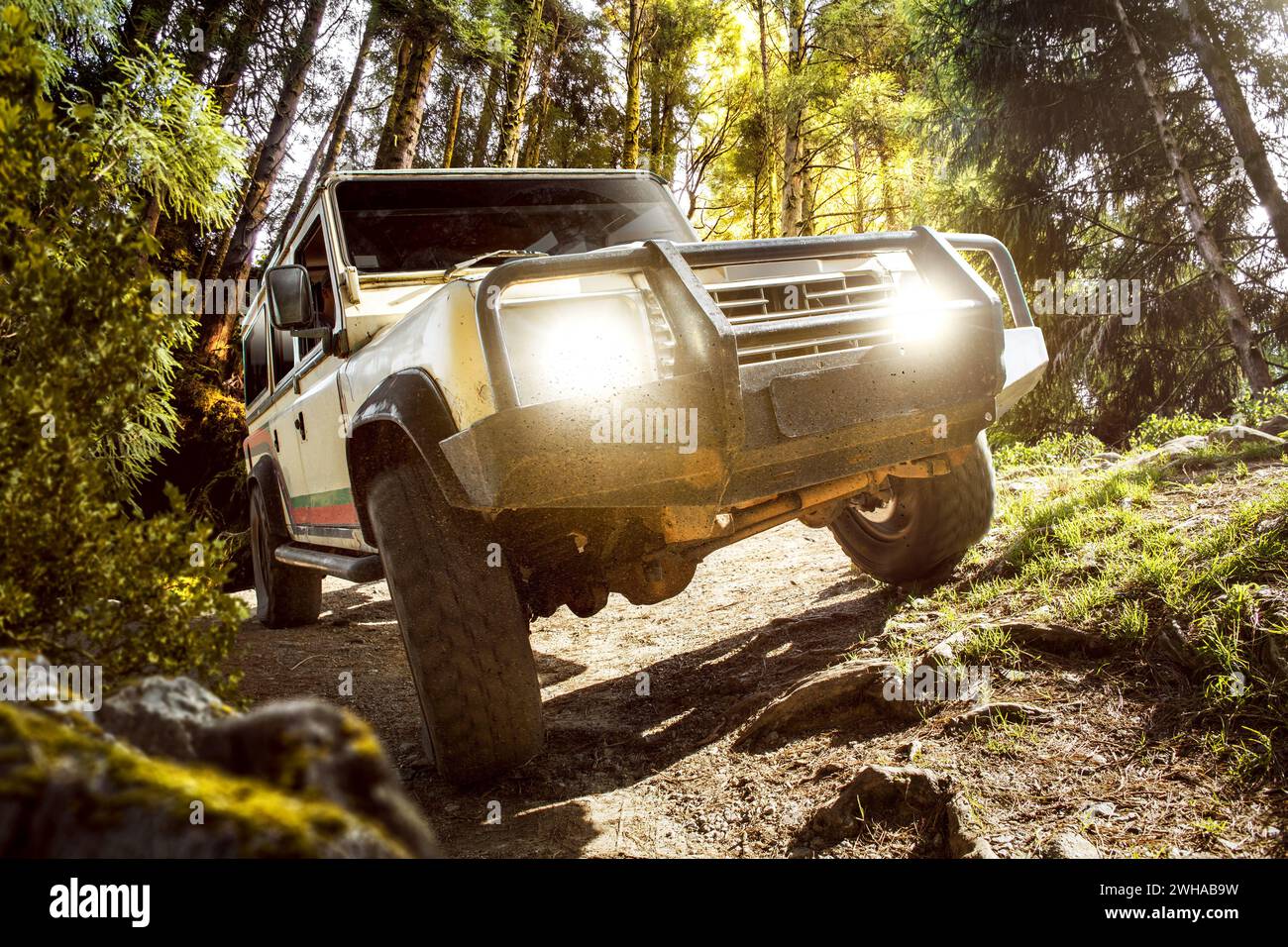 Off-Road Car Driving in the Forest Stock Photo - Alamy