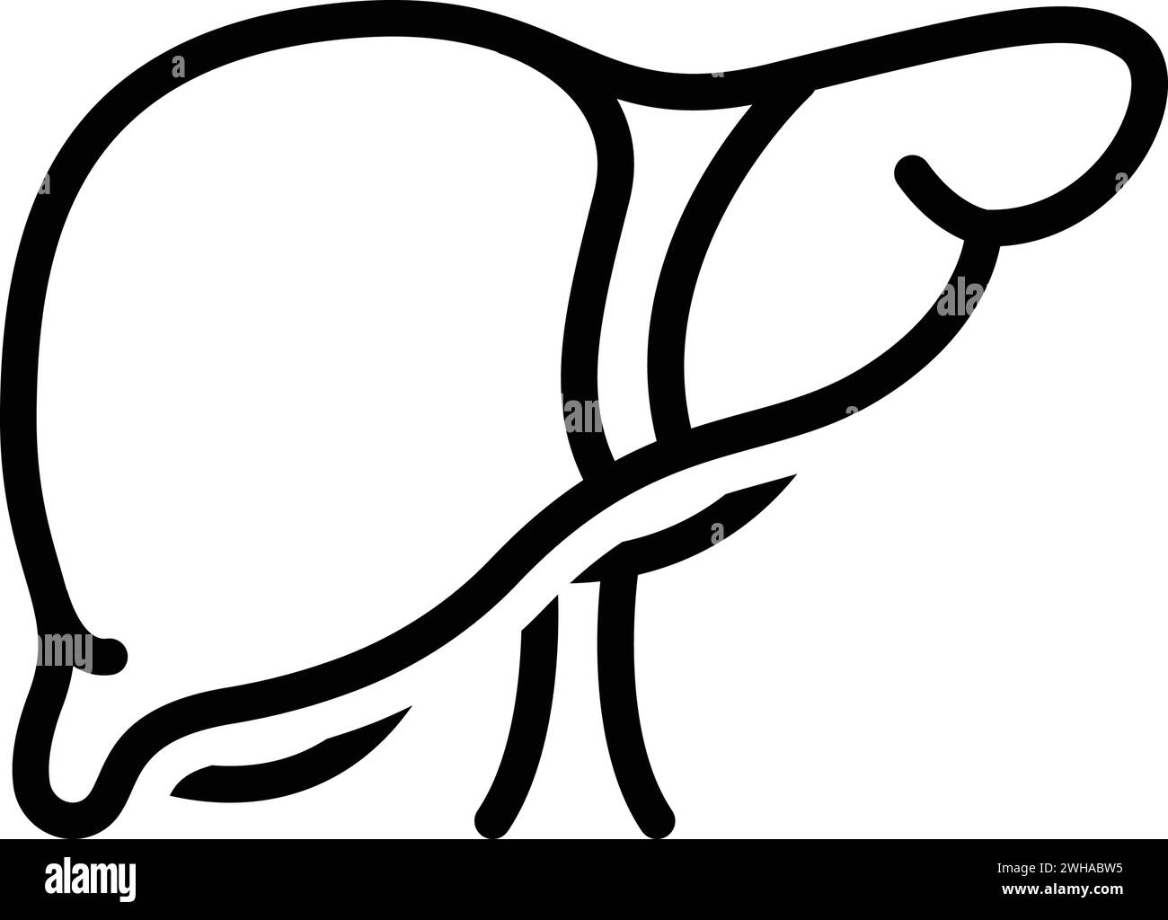 Icon for liver,organ Stock Vector Image & Art - Alamy