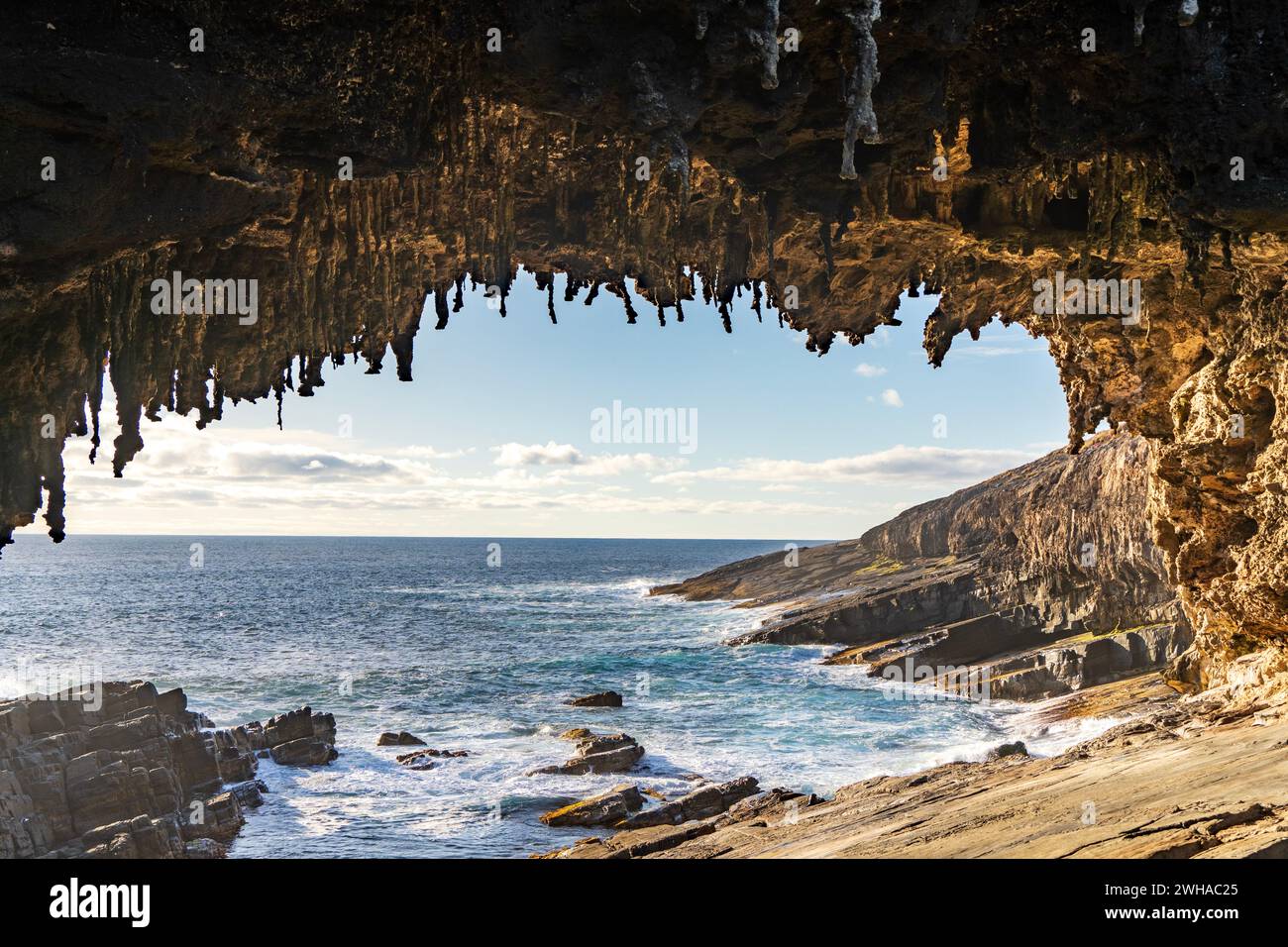 Admirals Arch in Flinders Chase National Park, Kangaroo Island, South ...