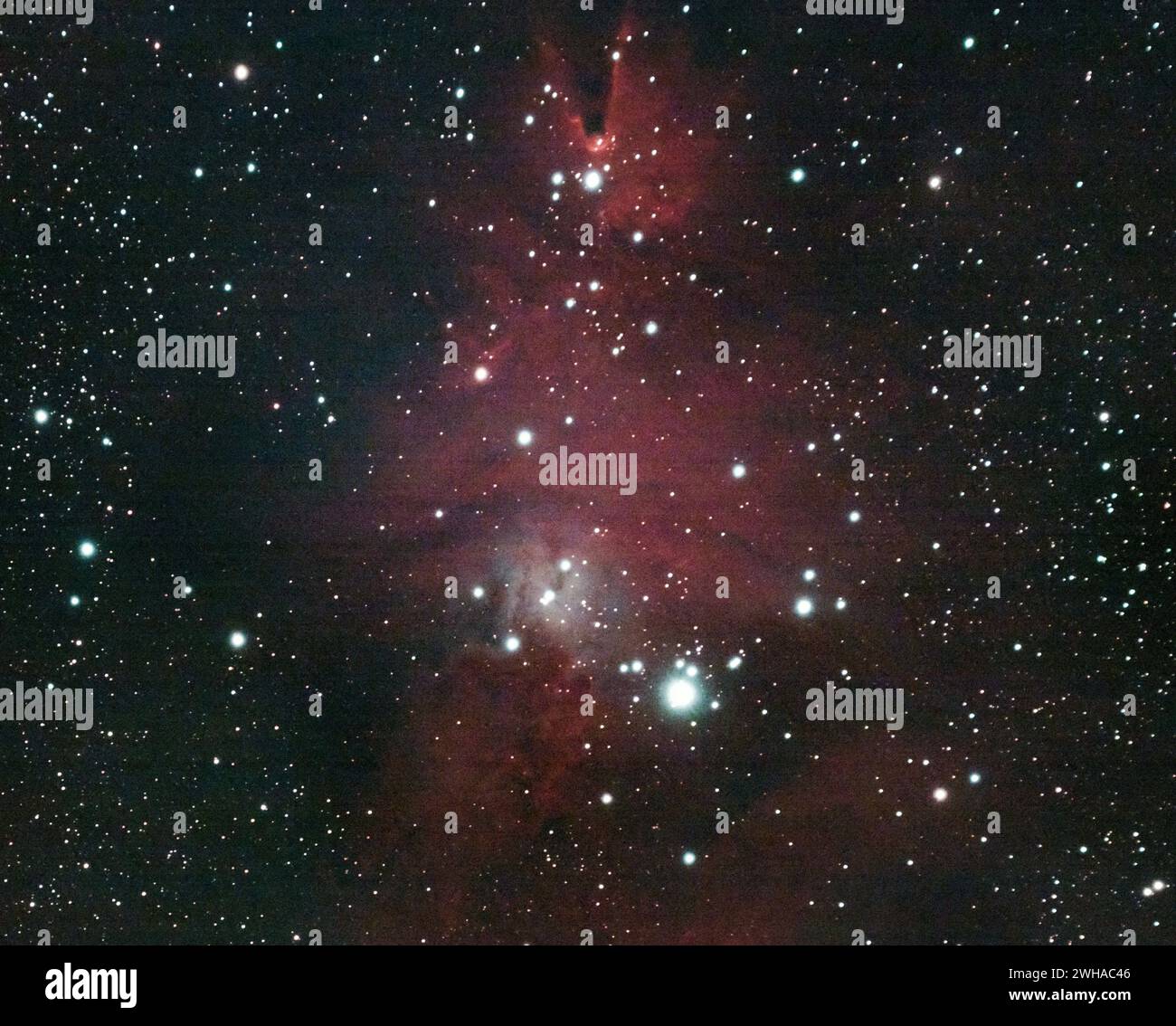 Christmas Tree Nebula Stock Photo - Alamy