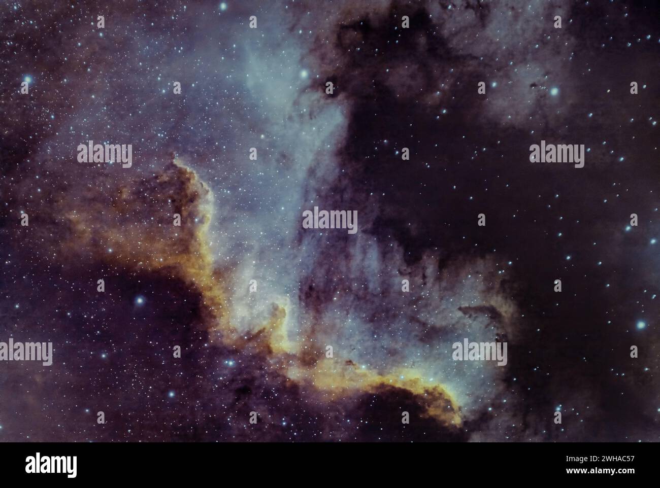 Cygnus wall hi-res stock photography and images - Alamy